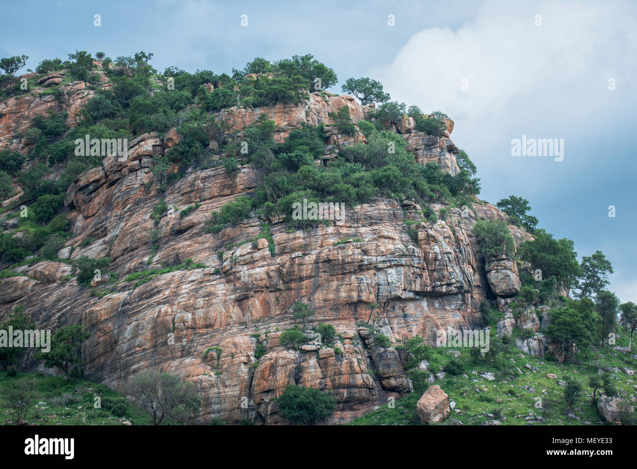 Rocky outcrop in the southern part of the Kruger National Park Stock ...