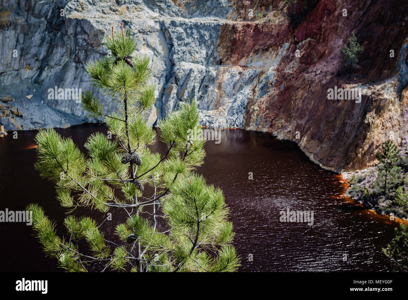 Water reservoir dam pine hi-res stock photography and images - Alamy