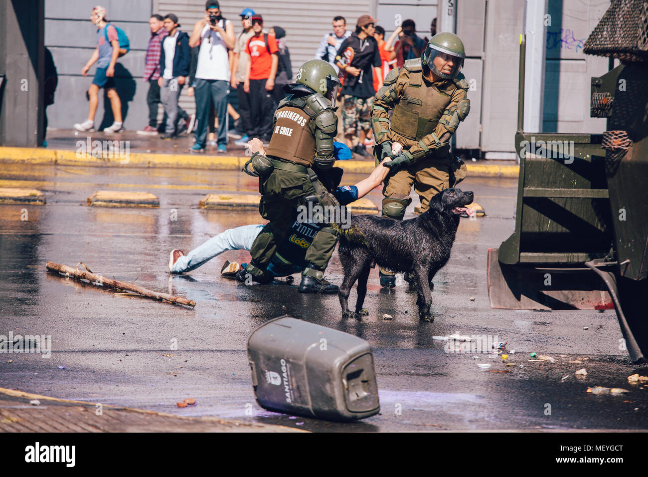 Police body armor dog hi-res stock photography and images - Alamy