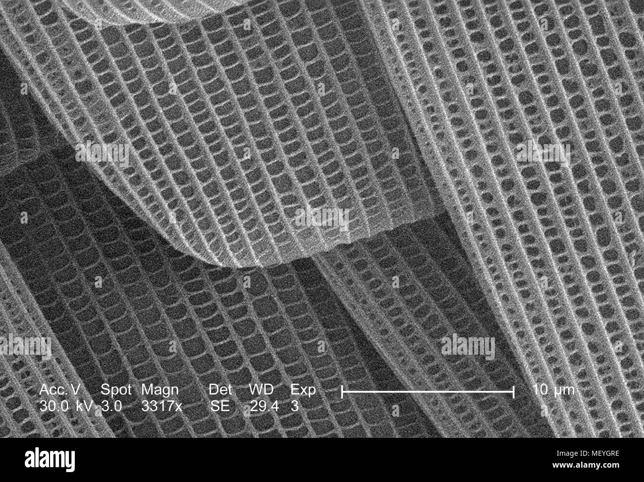 2000s decatur hi-res stock photography and images - Alamy