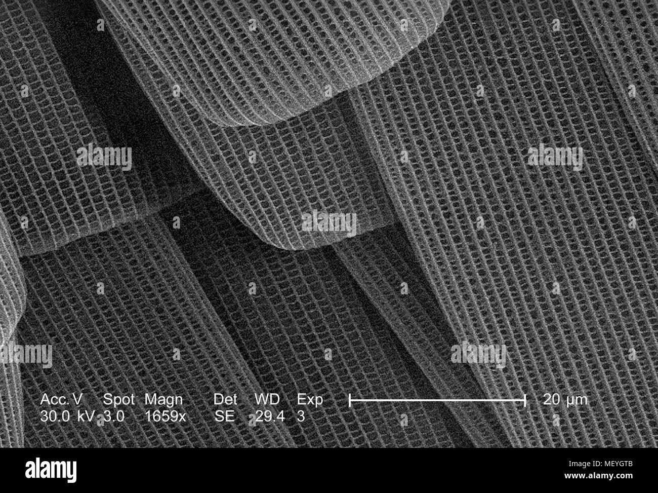 2000s decatur hi-res stock photography and images - Alamy