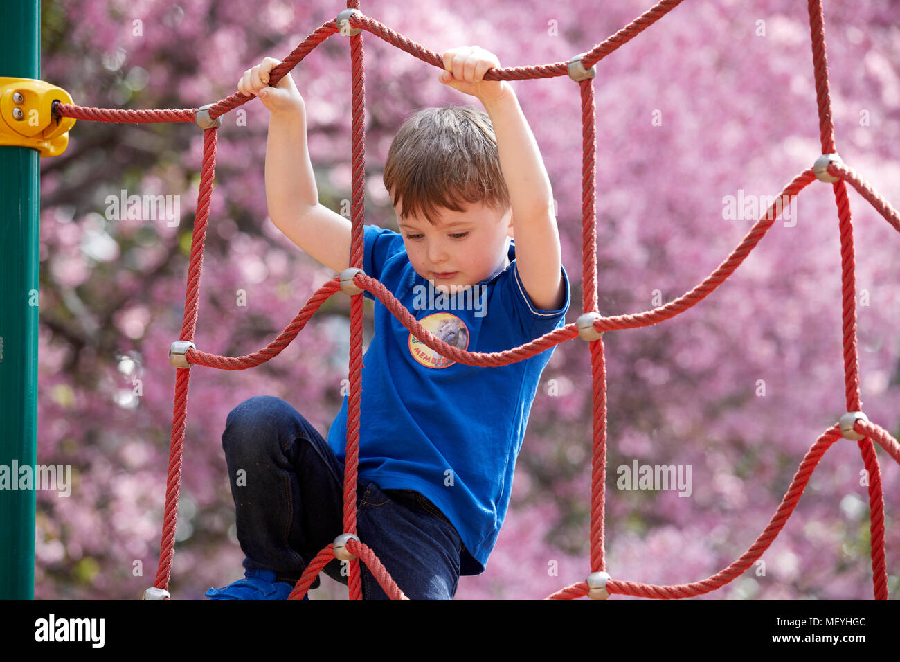Atlanta capital of the U.S. state of Georgia, Atlanta Zoo zoological ...