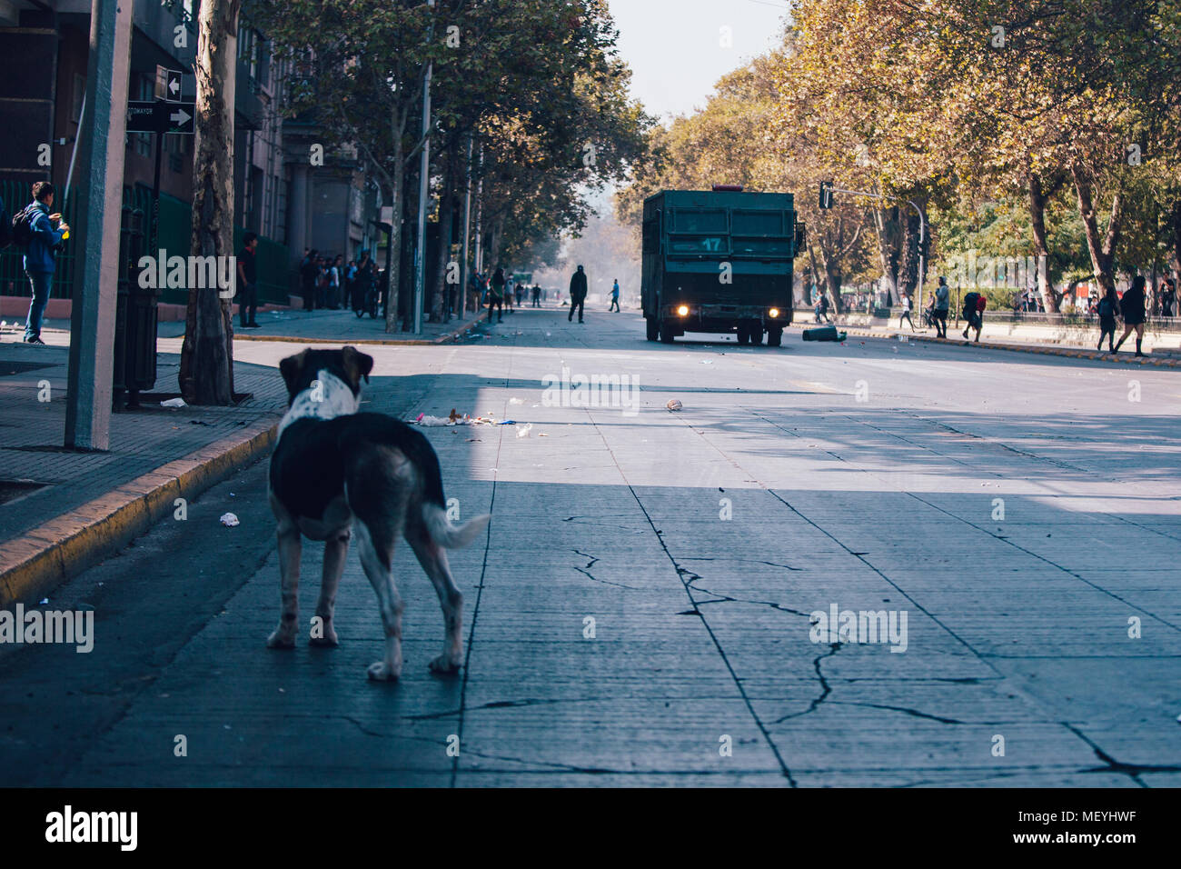 Santiago, Chile - April 19, 2018: dog observes police bus during a ...