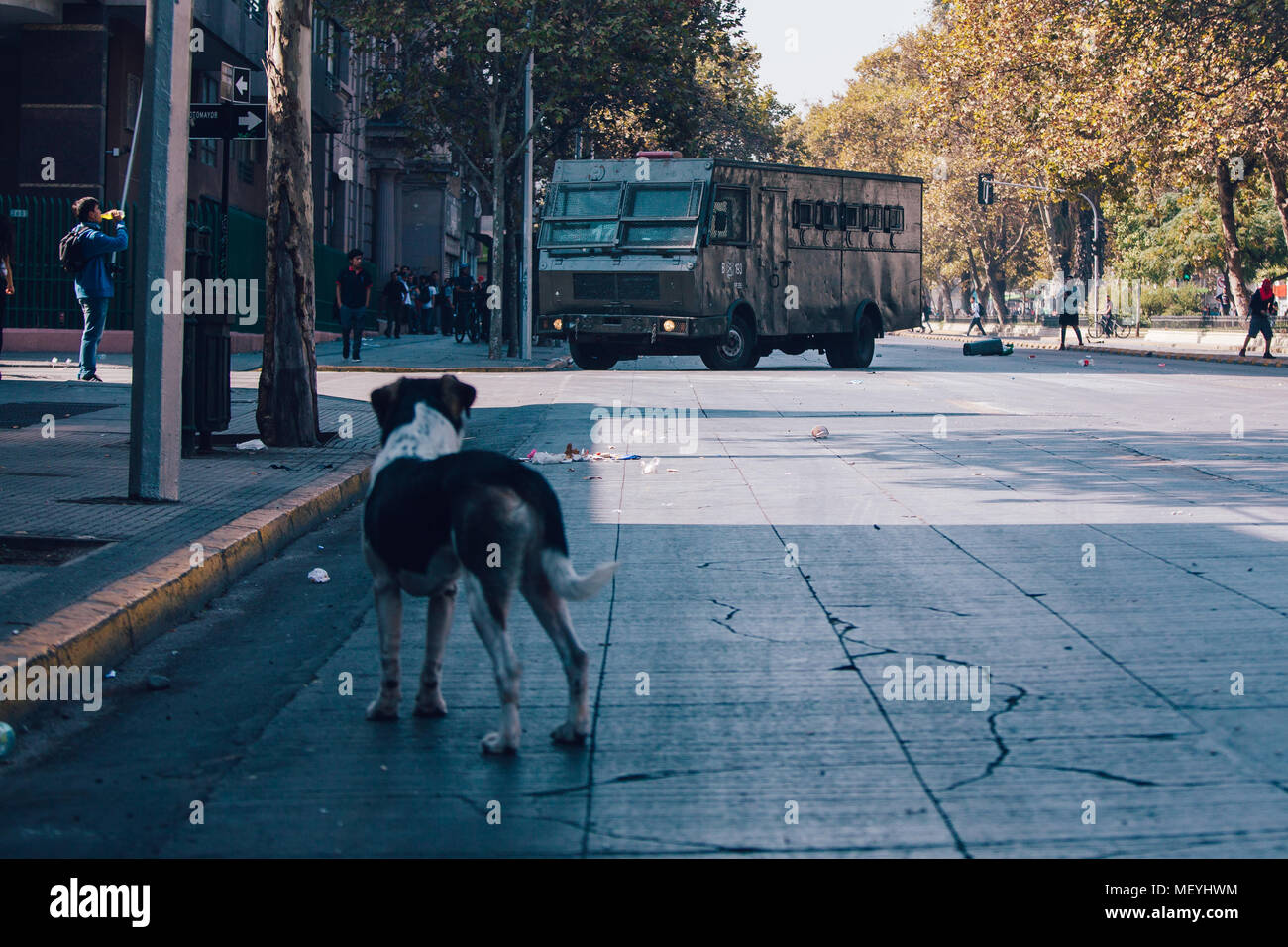 Santiago, Chile - April 19, 2018: dog observes police bus during a ...