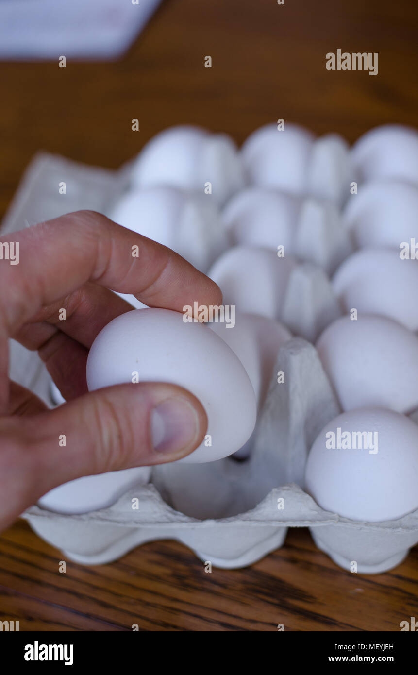 Egg Picking Stock Photos & Egg Picking Stock Images - Alamy