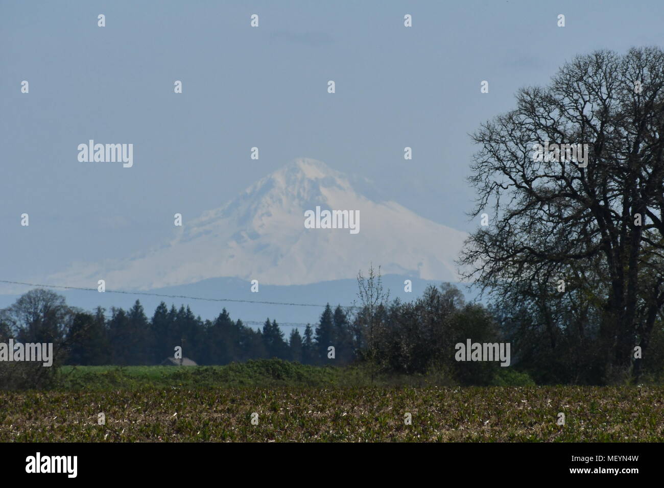 Mount hood view hi-res stock photography and images - Alamy
