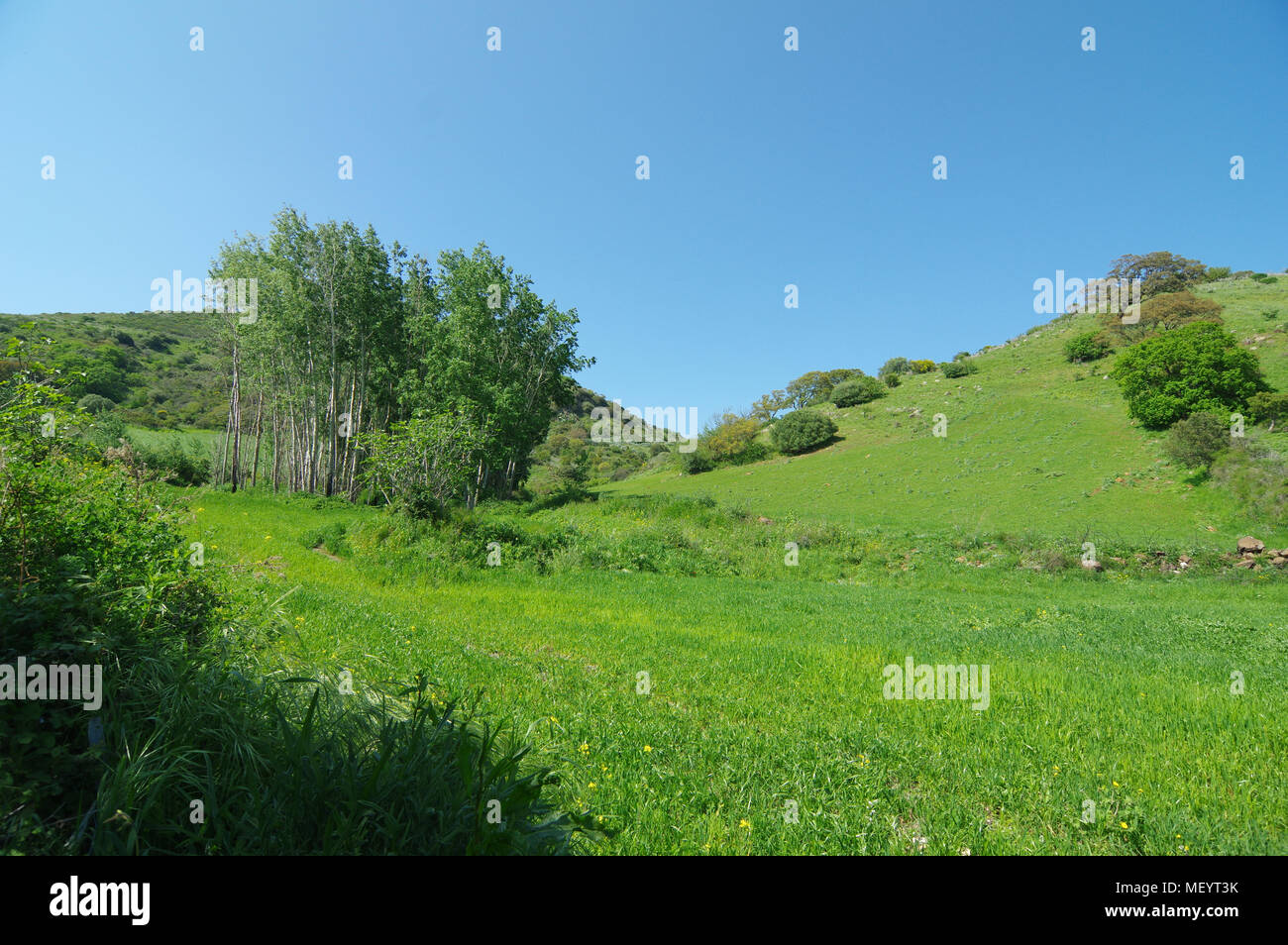 Italy, Sardinia countryside in spring near Sassari Stock Photo - Alamy