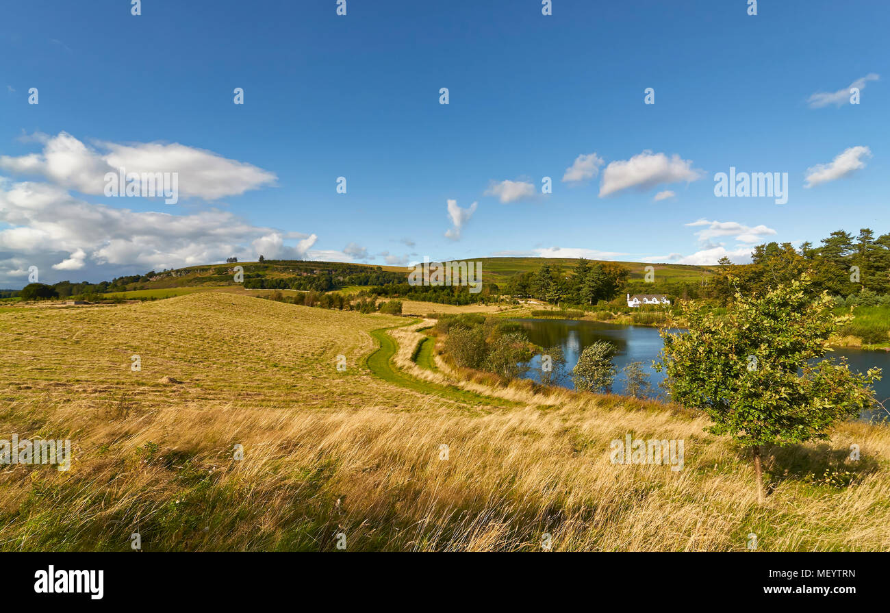 Forfar loch scotland hi-res stock photography and images - Alamy