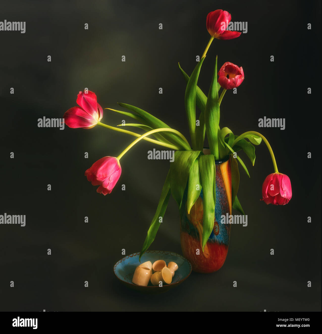 still life with tulips Stock Photo - Alamy