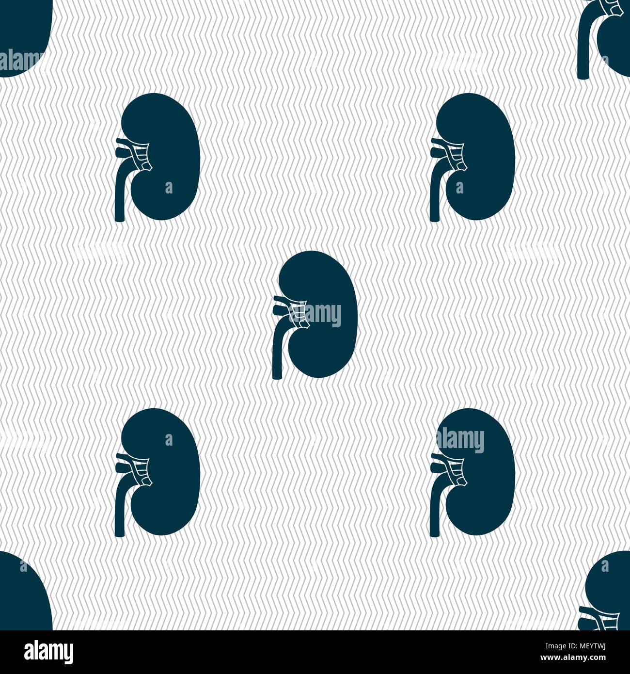Kidney sign. Seamless pattern with geometric texture. Vector ...