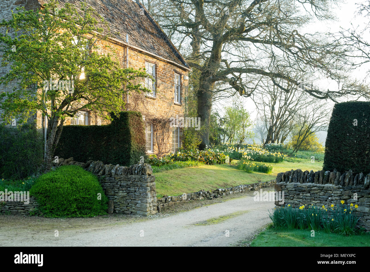 Morning spring sunlight on a cottage in the village of Little Tew ...