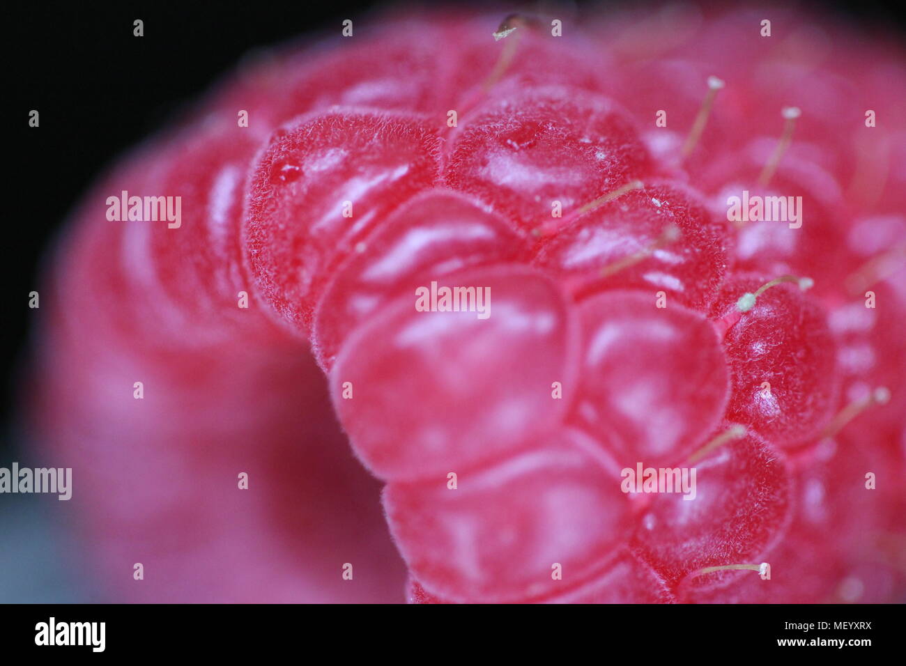 Raspberry photography hi-res stock photography and images - Alamy