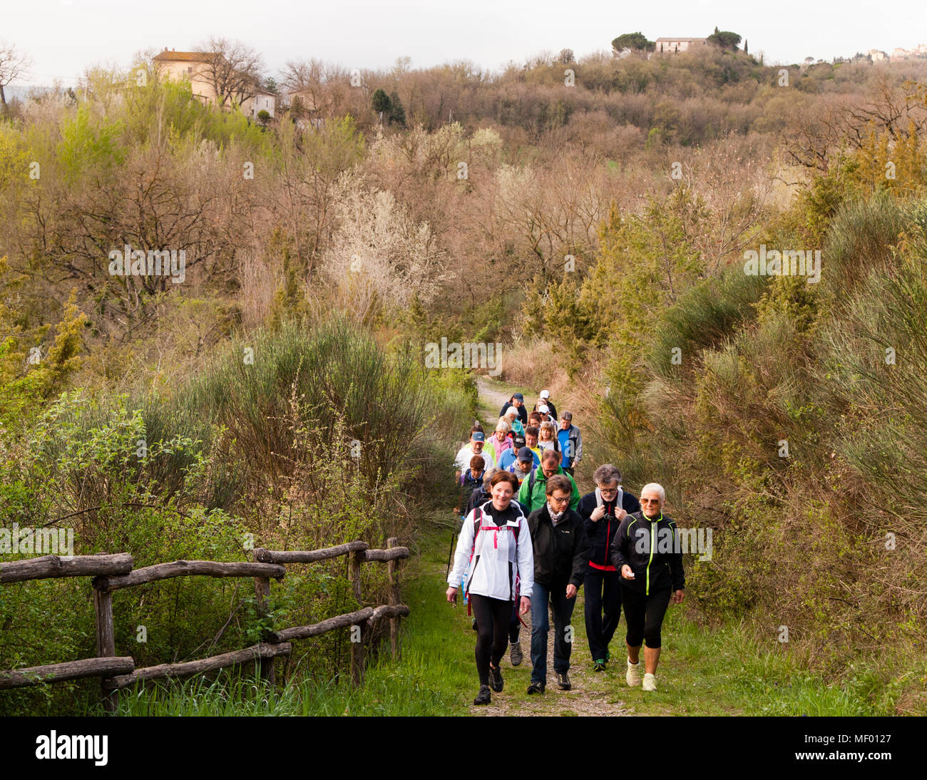 Hiking marathon through Tuscany. Tuscan landscape in spring, green ...