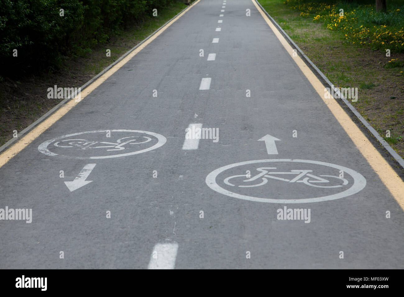 Painted signs on asphalt for bicycle dedicated lanes. A separate bike ...