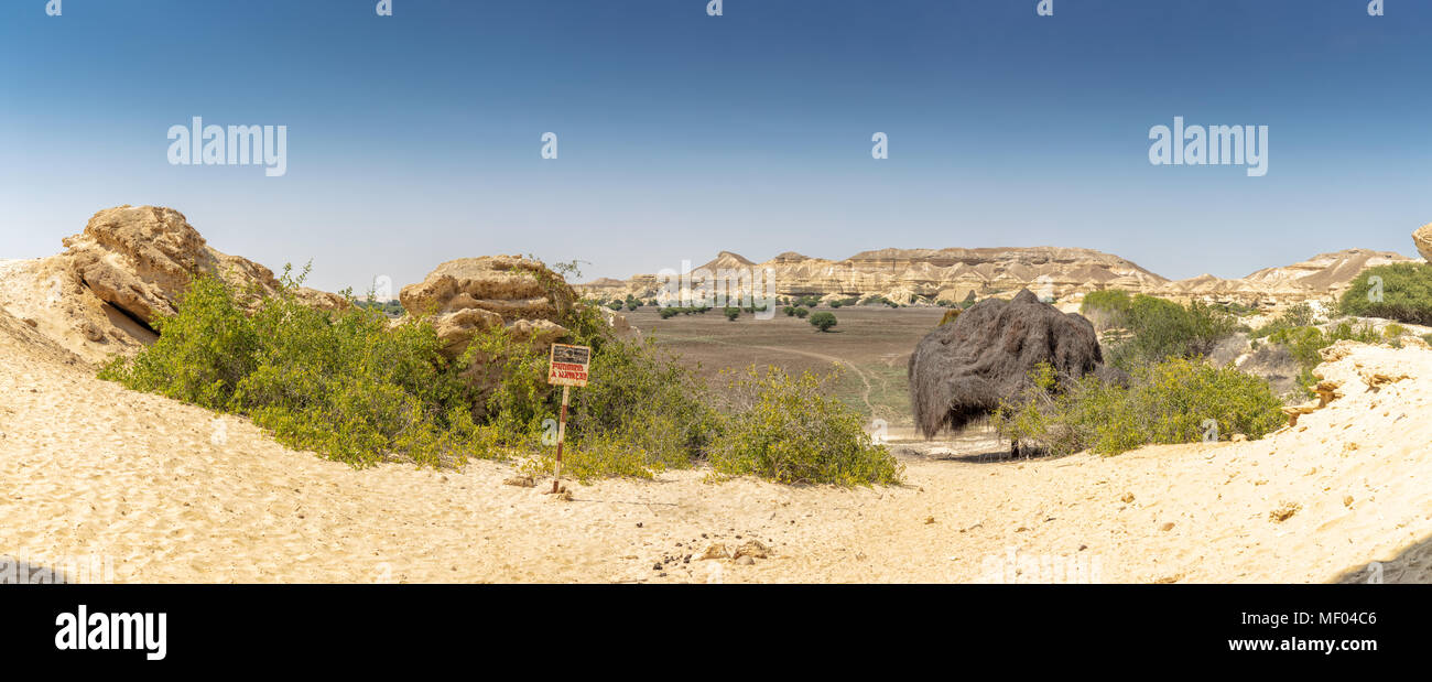 dry oasis in the Namibe Desert. Angola. Africa Stock Photo - Alamy