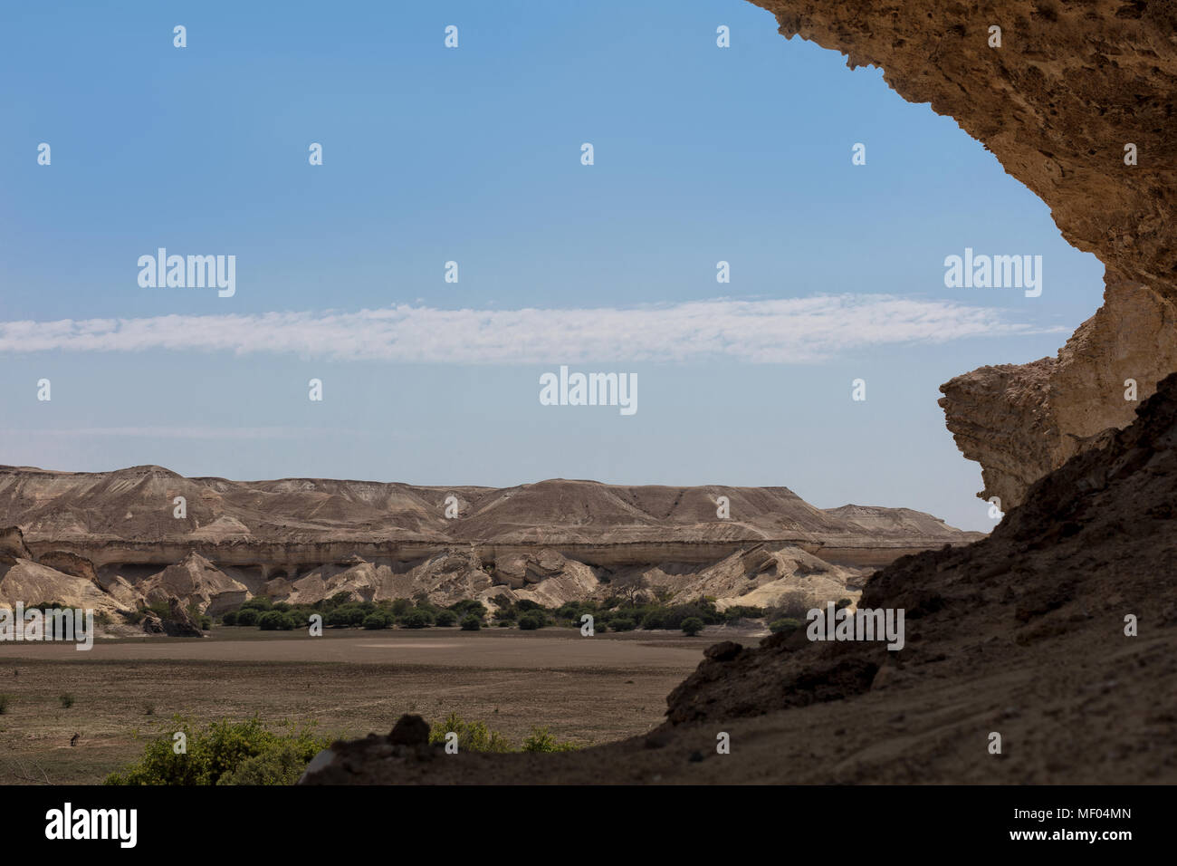dry oasis in the Namibe Desert. Angola. Africa Stock Photo - Alamy