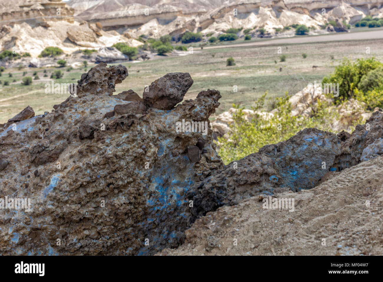 dry oasis in the Namibe Desert. Angola. Africa Stock Photo - Alamy