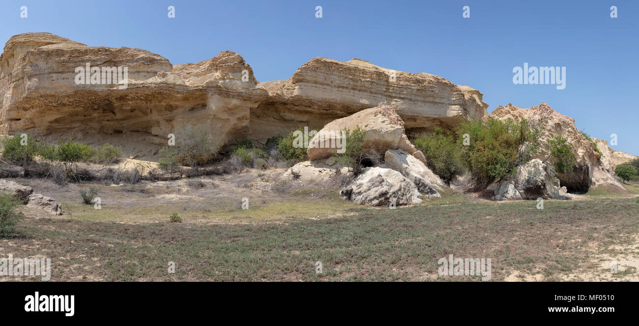 dry oasis in the Namibe Desert. Angola. Africa Stock Photo - Alamy