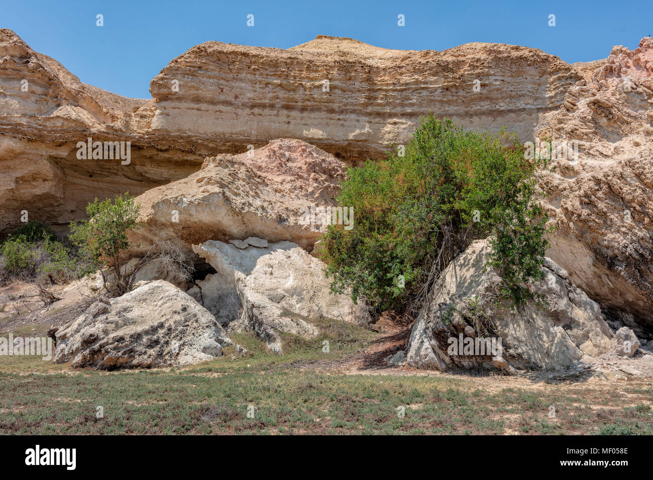 dry oasis in the Namibe Desert. Angola. Africa Stock Photo - Alamy