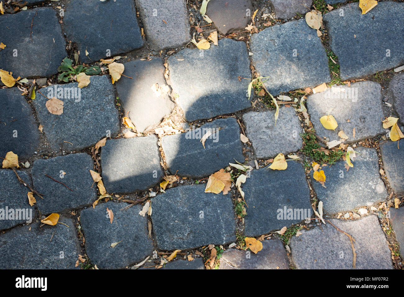 Square paved with stone cubes hi-res stock photography and images - Alamy