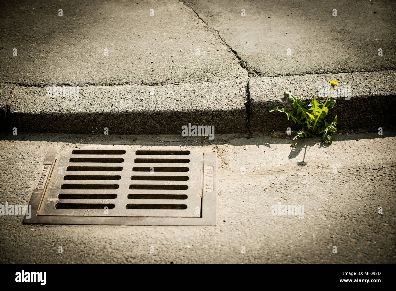 Yellow gully road hi-res stock photography and images - Alamy