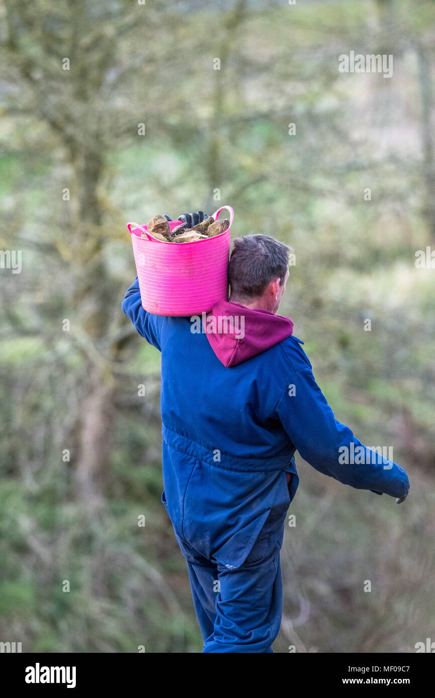 Man carrying small rocks in a plastic bucket on this shoulder Stock ...