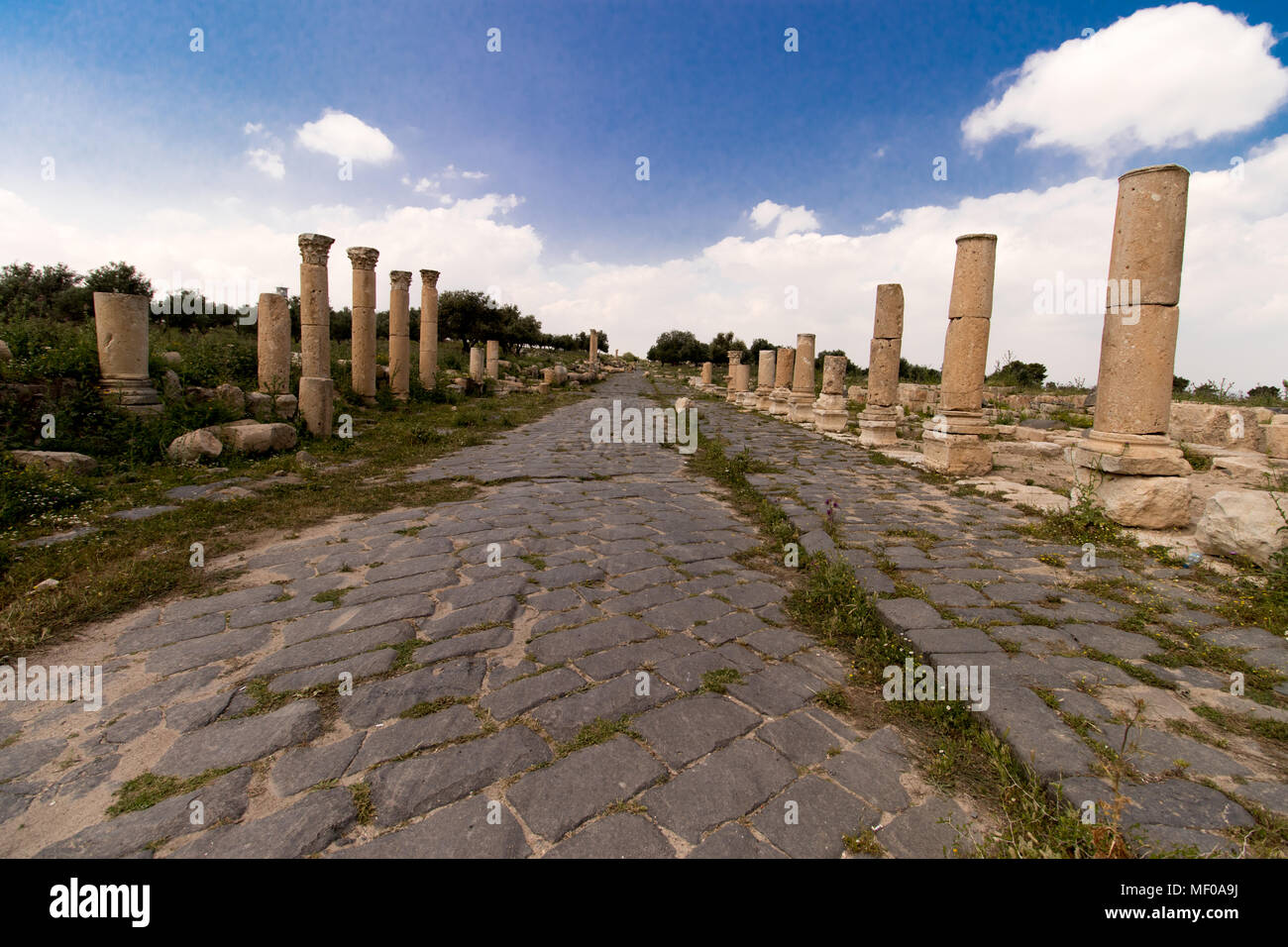 Irbid High Resolution Stock Photography and Images - Alamy