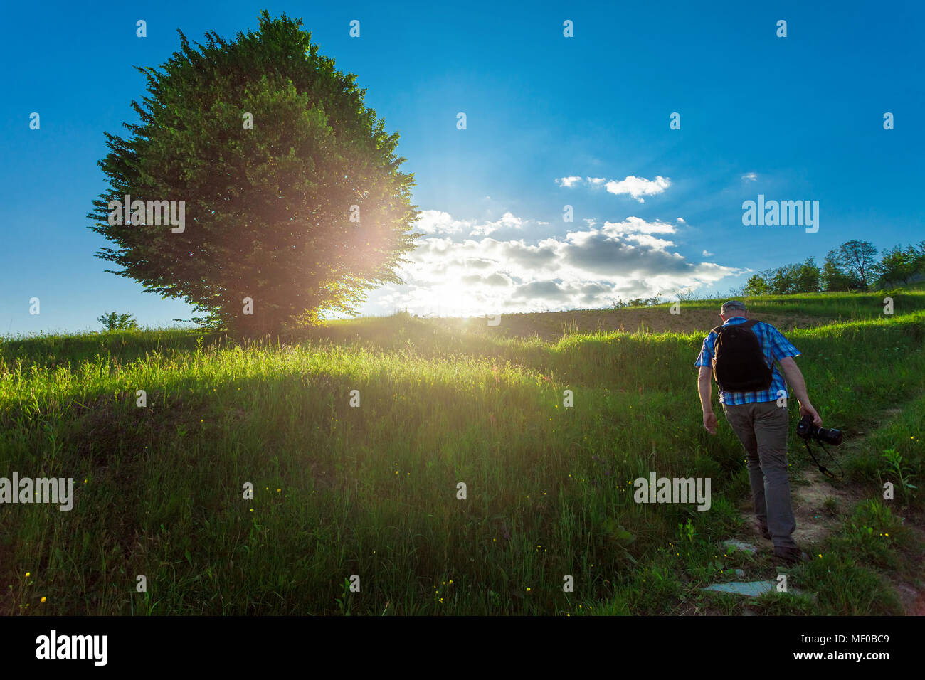 Hiker / photographer on a path Stock Photo - Alamy