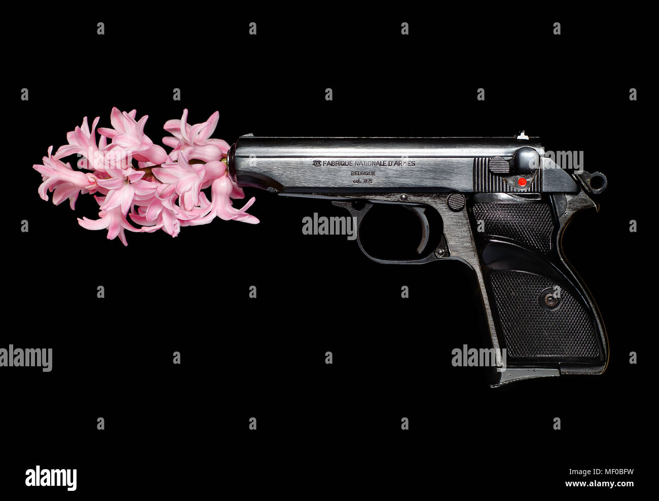 A hand gun launches a hyacinth flower isolated on black background ...