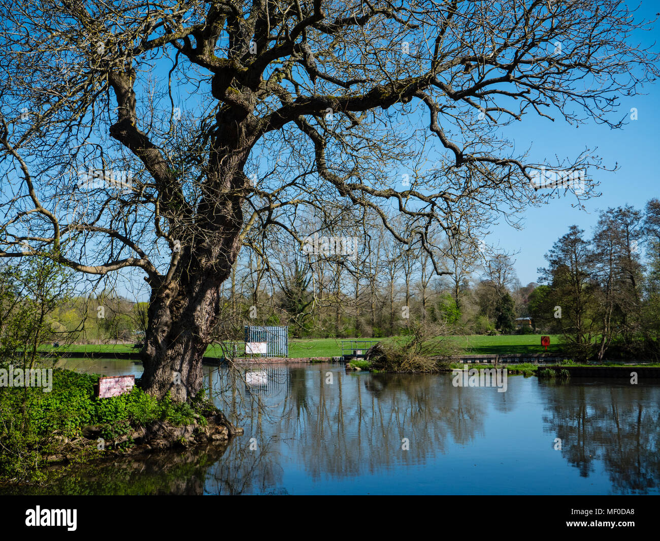 River kennet ladscape hi-res stock photography and images - Alamy