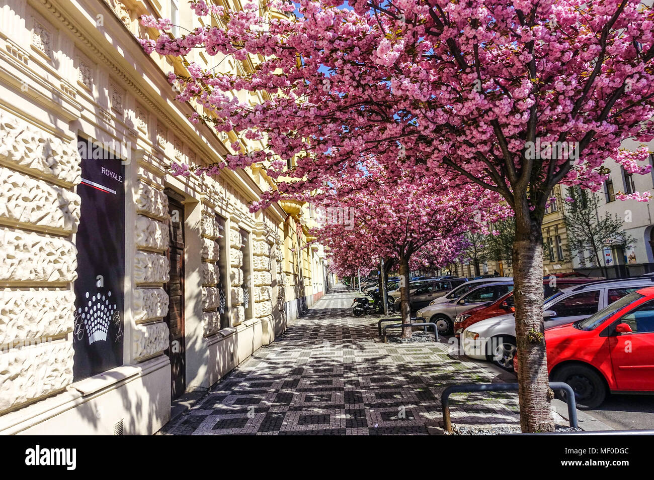 Cherry tree buildings hi-res stock photography and images - Alamy