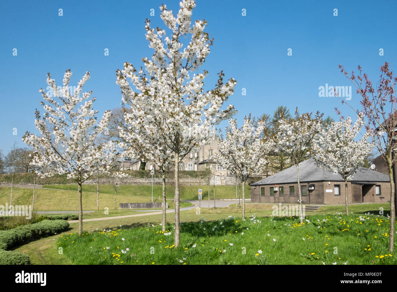 Trinity fees hi-res stock photography and images - Alamy