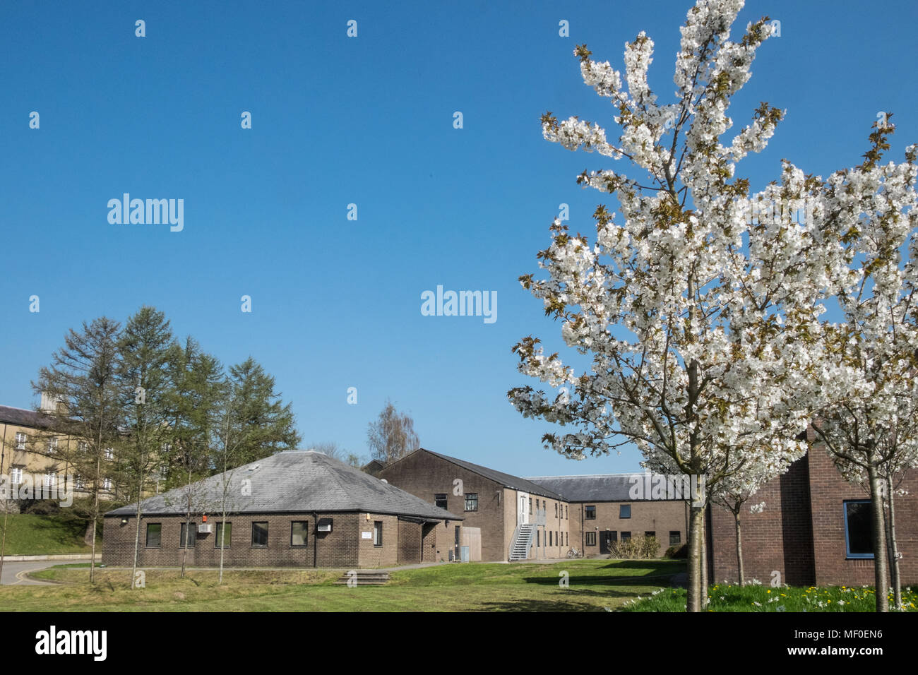 Trinity fees hi-res stock photography and images - Alamy