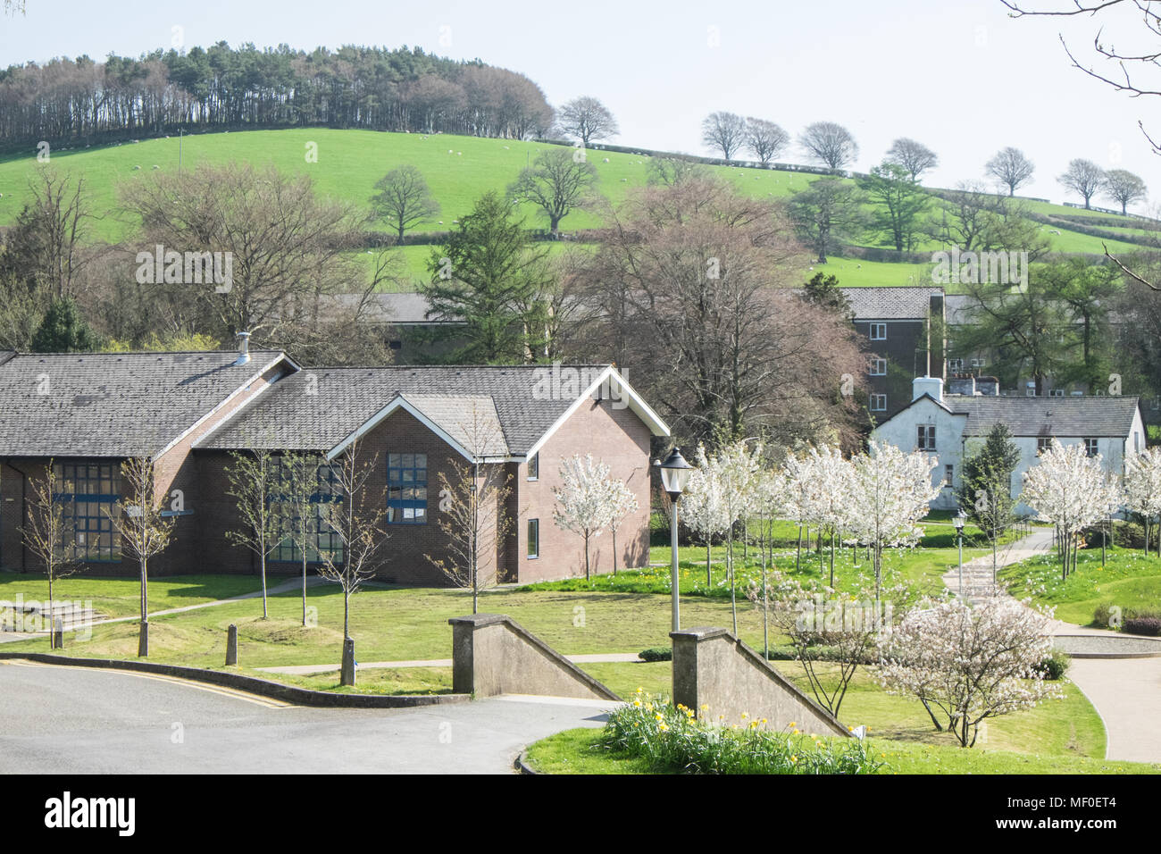 Trinity fees hi-res stock photography and images - Alamy