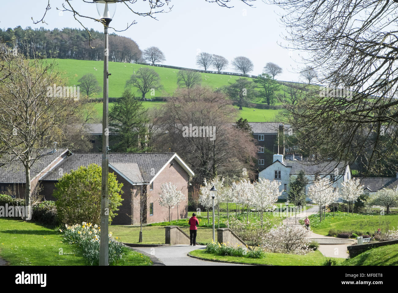 Lampeter wales hi-res stock photography and images - Alamy