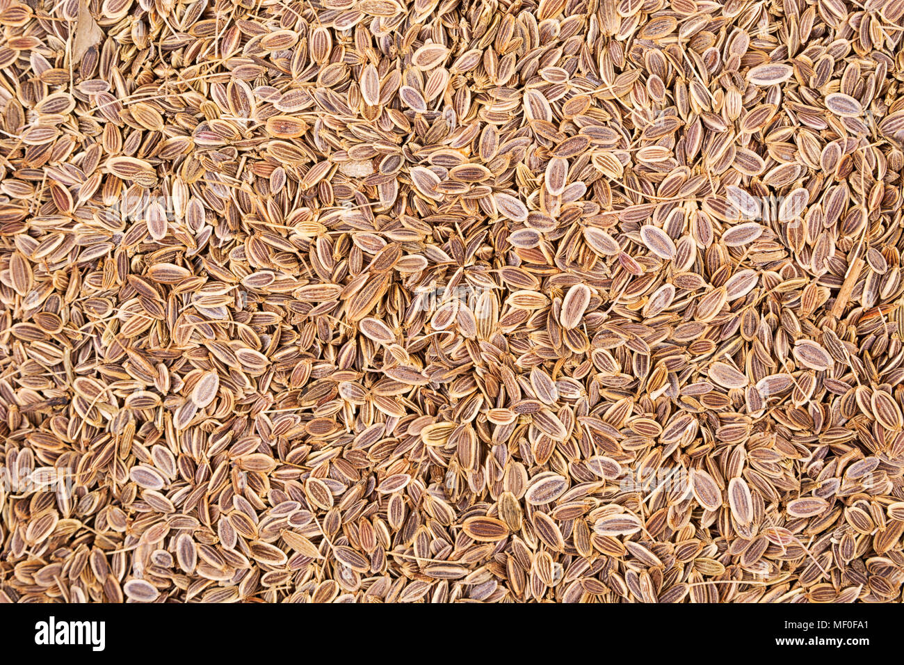 Dry fennel seeds background. View from above Stock Photo - Alamy