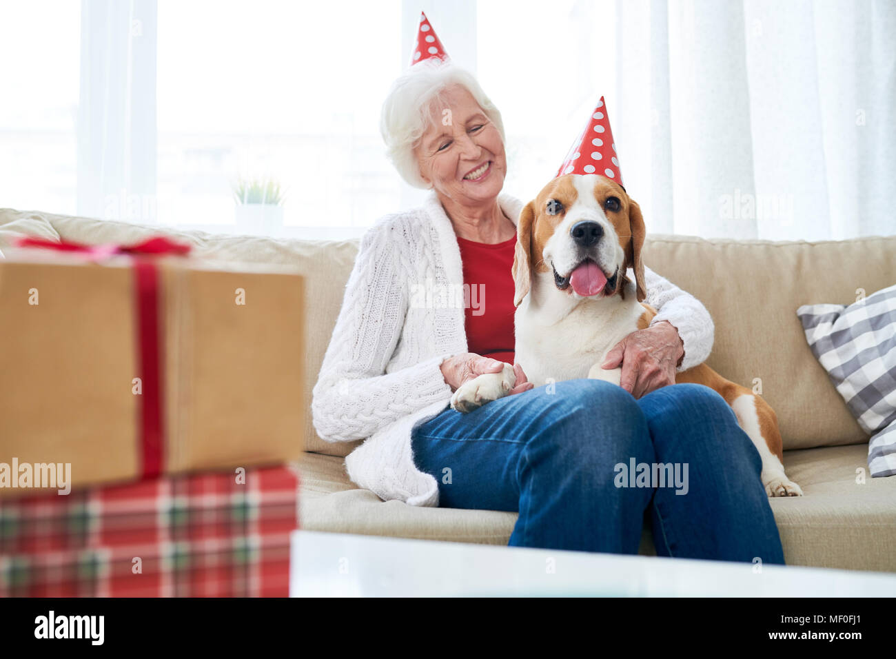 Joyful birthday party with dog Stock Photo - Alamy