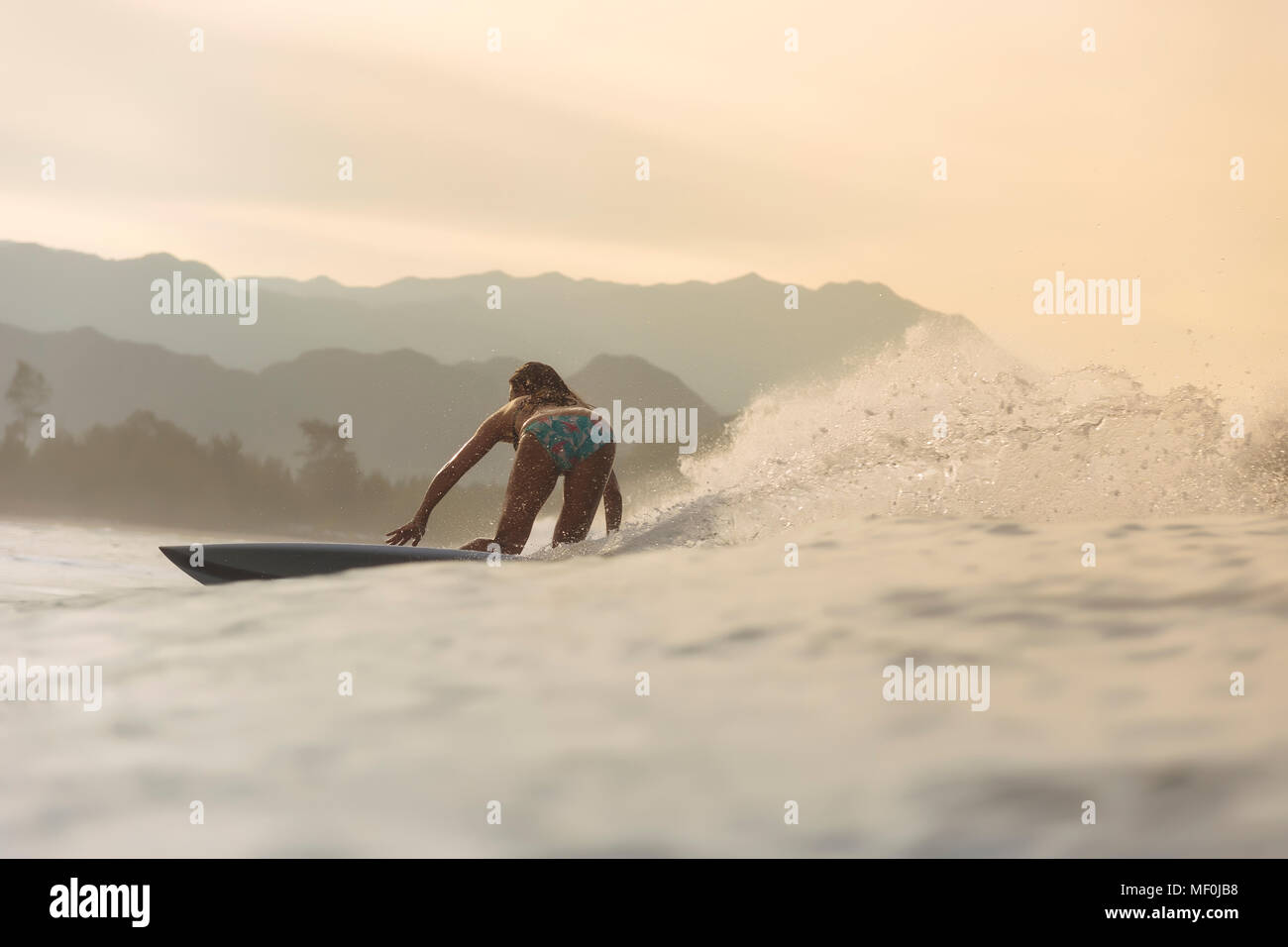 Female surfer evening light hi-res stock photography and images - Alamy