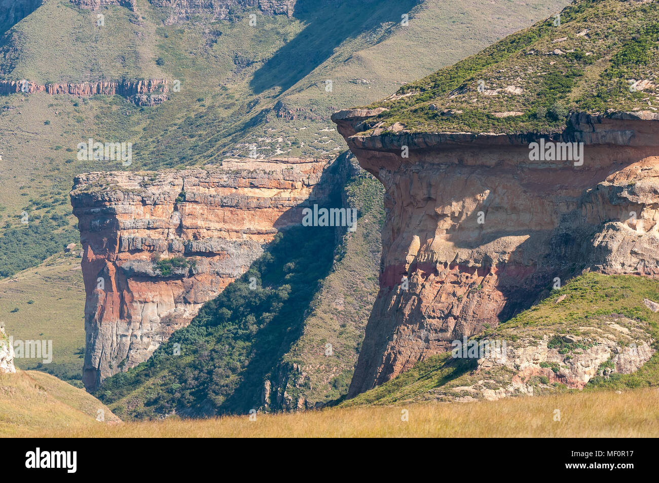 Brandwag Buttress High Resolution Stock Photography and Images - Alamy