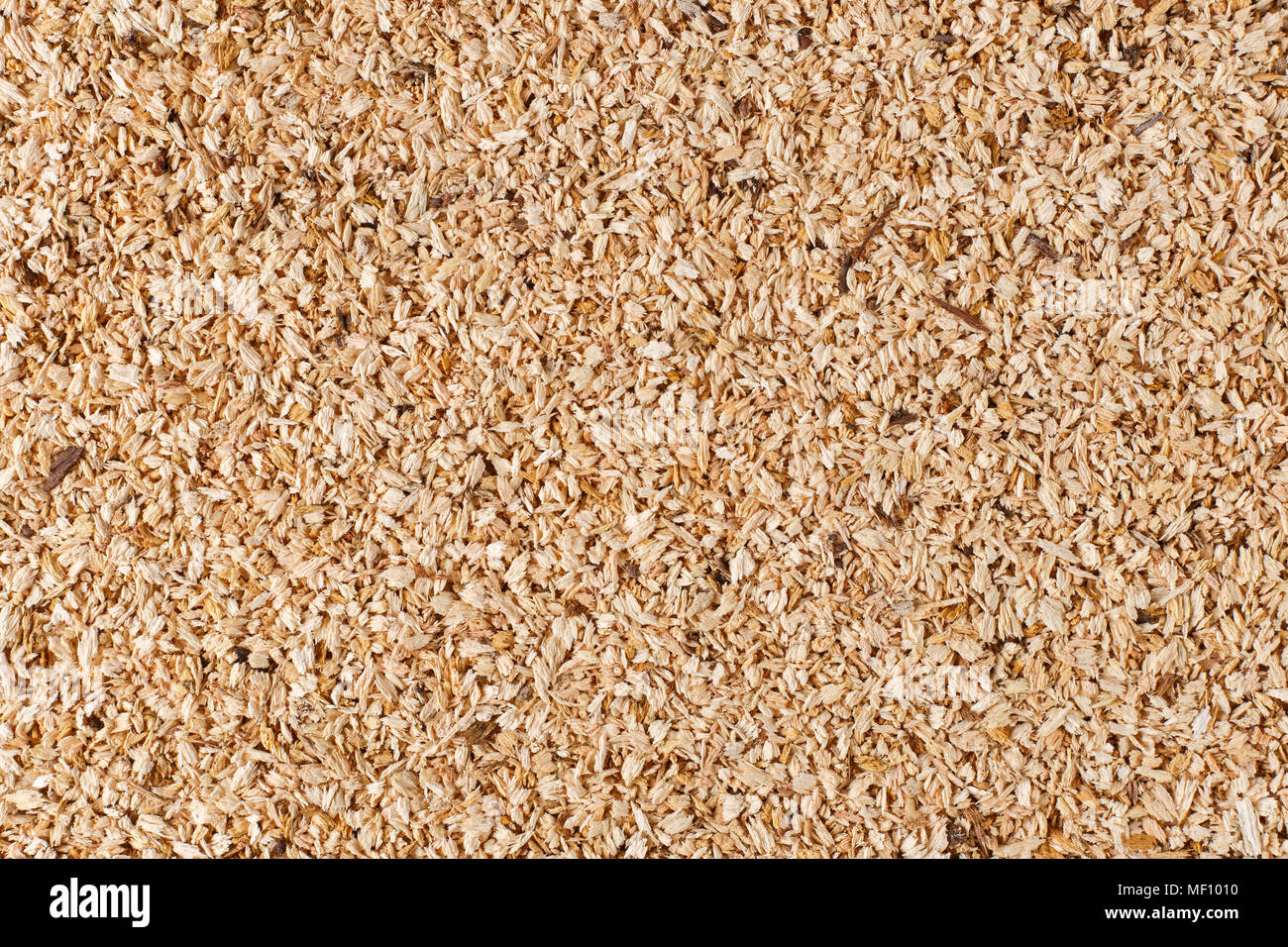 Sawdust background, close-up Stock Photo - Alamy