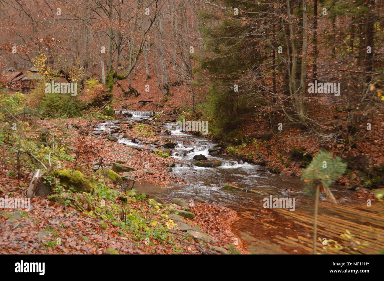Curated environment hi-res stock photography and images - Alamy