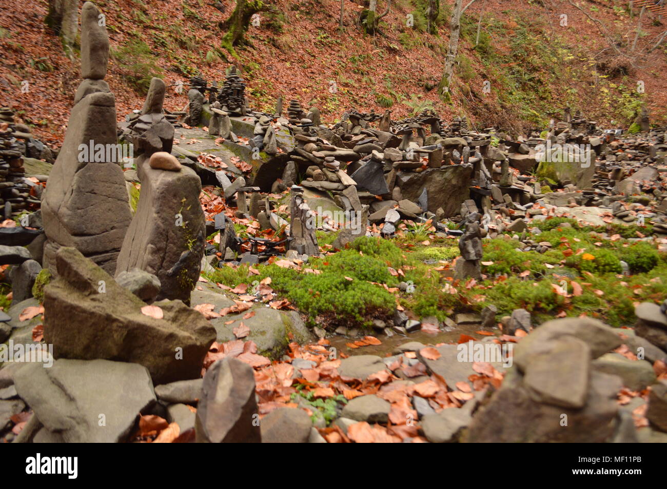 Explore the most popular waterfall trails in National Forest with hand ...