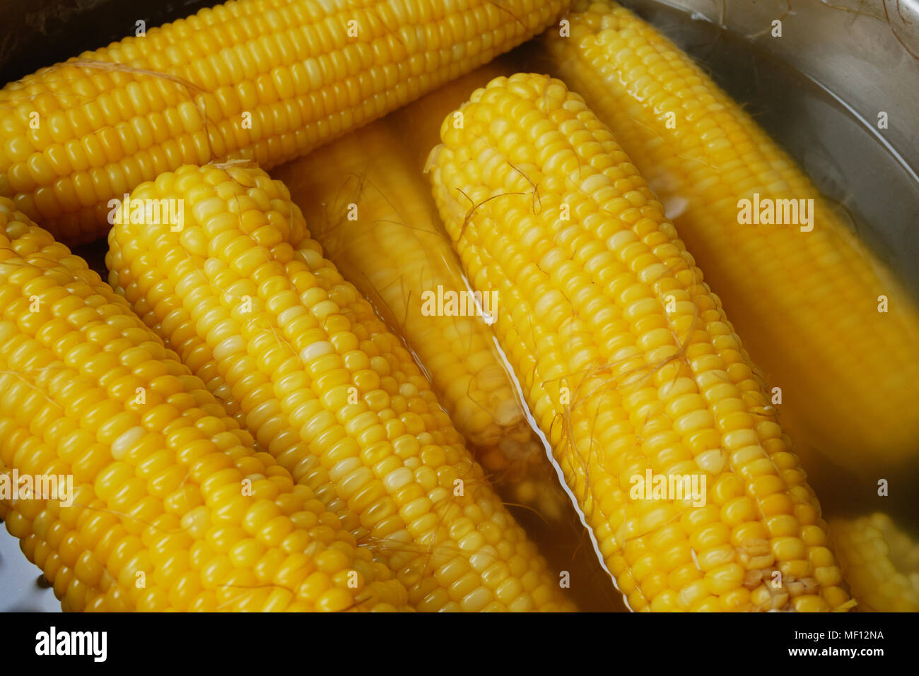Boiled corn in a boiler Stock Photo - Alamy
