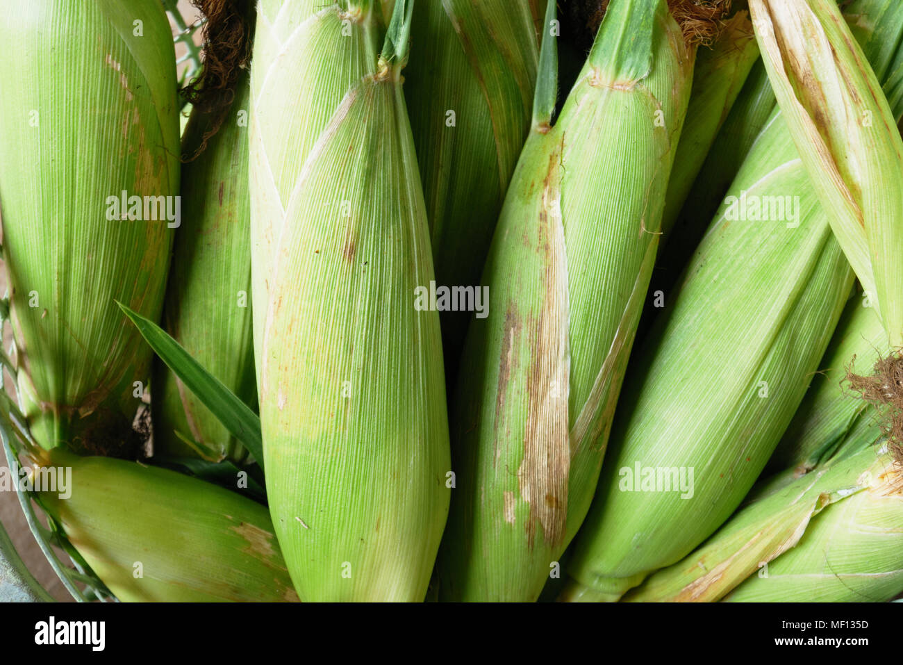 Sweet corn not peeled Stock Photo - Alamy