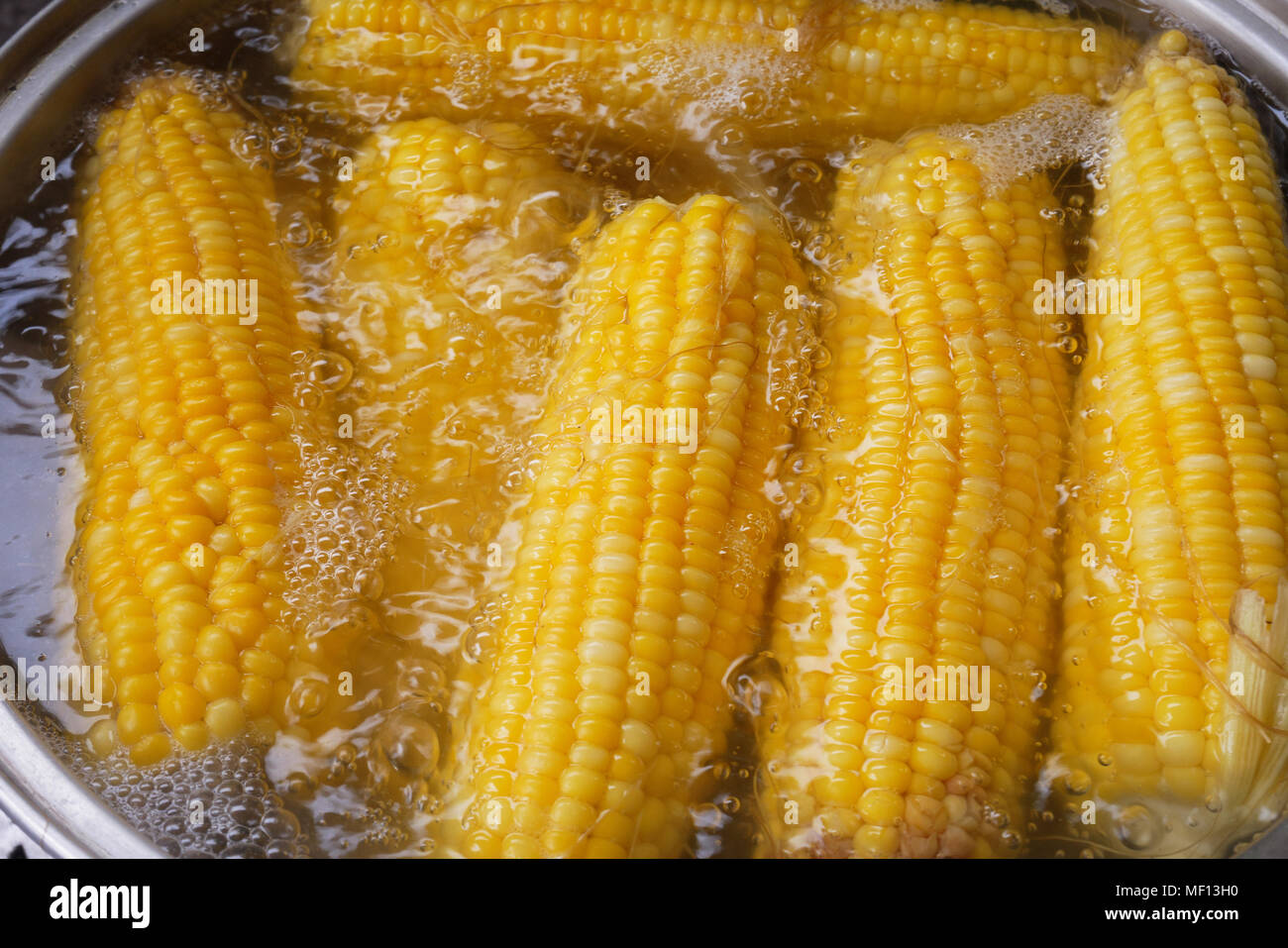 Boiled corn in a boiler Stock Photo - Alamy