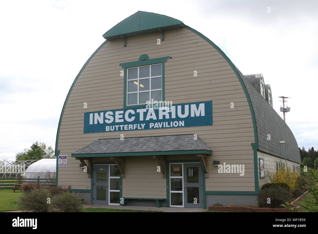 Butterfly house and Insectarium near Deer Lake, Newfoundland, Canada ...