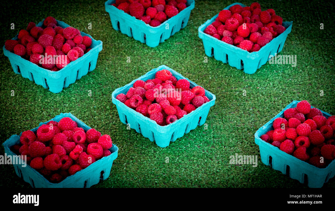 box of raspberries - stunning red color Stock Photo - Alamy