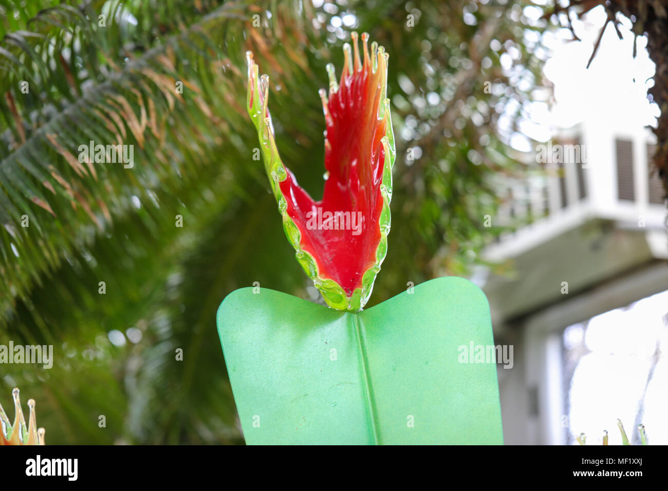 Beautiful, larger than life, vividly colored glass Venus Fly Trap ...