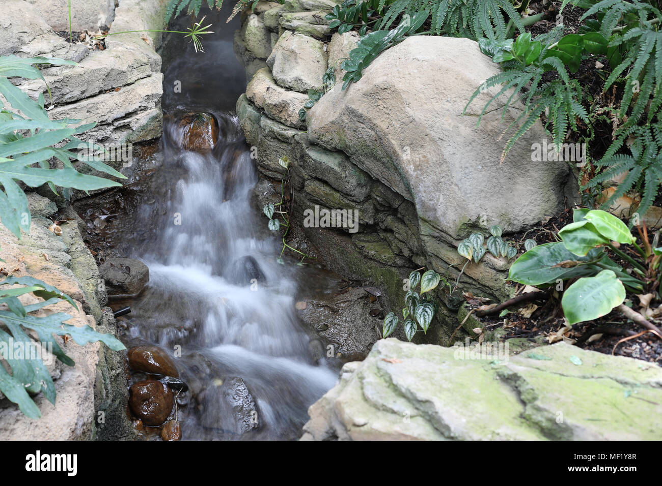 Still life images of small man made waterfall on display at Phipps ...