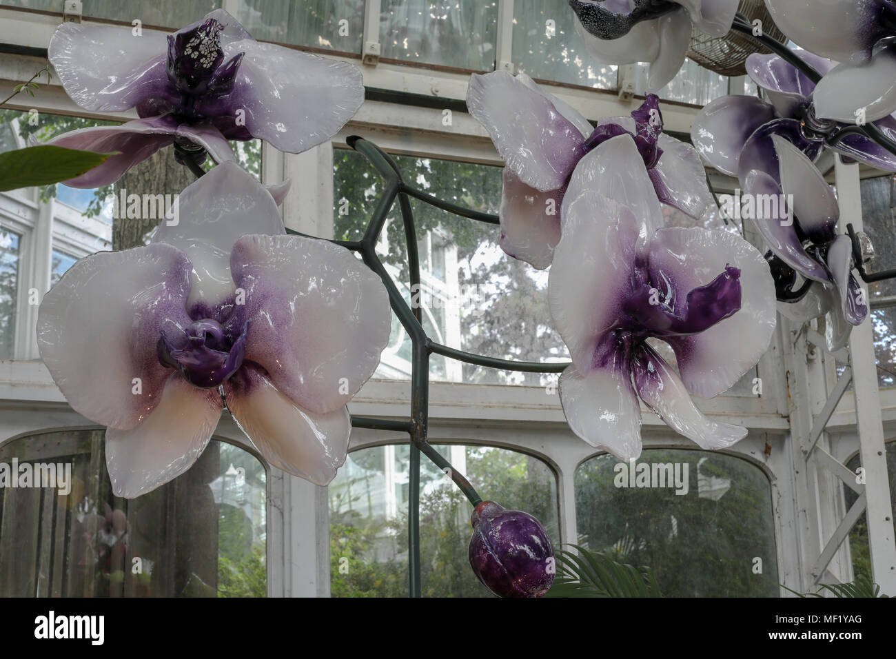 Beautiful, larger than life, vividly colored glass flowers as seen at ...